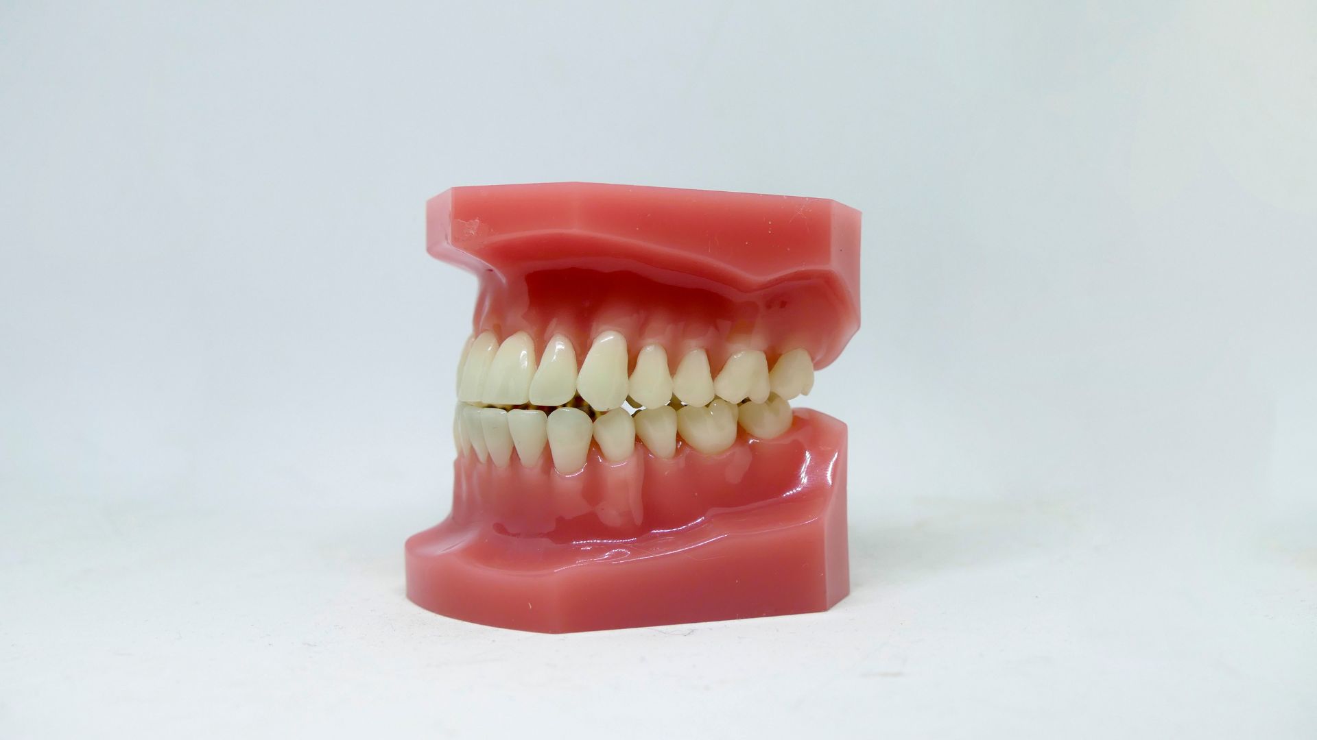 The Science of a Healthy Mouth – Call Corsi Dental
